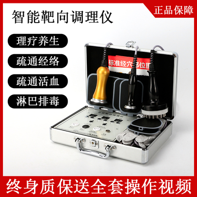 智能靶向调理仪DDS生物电疗仪器经络疏通生物电理疗经络刷按摩器