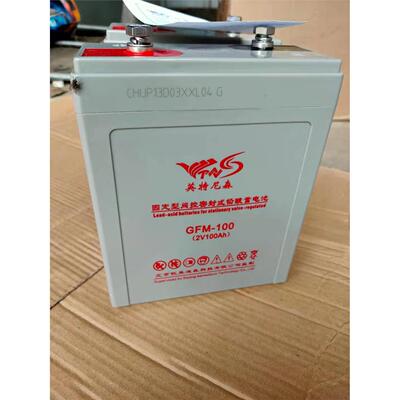 英特尼森蓄电池GFM-200/2