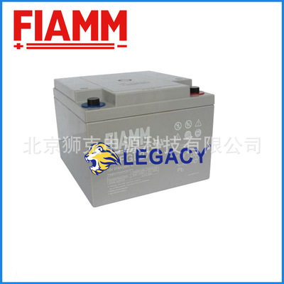 非凡FIAMM蓄电池12FGH36