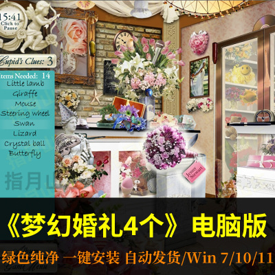 梦幻婚礼4部曲电脑单机版