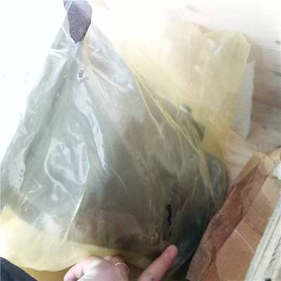 力士乐柱塞泵，型号R902449059 A10VSO140DRS/32R-VPB22U99有