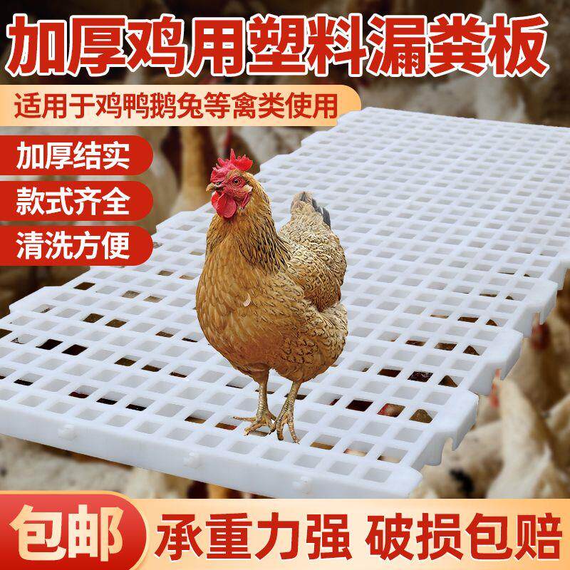 加厚鸡用漏粪板家禽塑料鸡舍网板漏屎地板鸭鹅鸽子脚垫漏粪清粪板