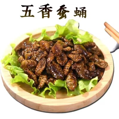山东特产五香蚕蛹营养美味即食小吃油炸蚕蛹子香酥蚕蛹下酒菜