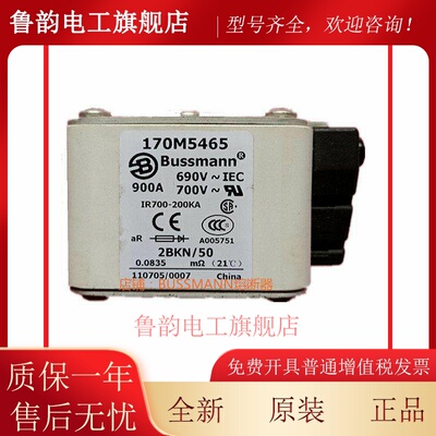 170M5460 170M5461 170M5463 170M5465 170M5467 170M5468熔断器