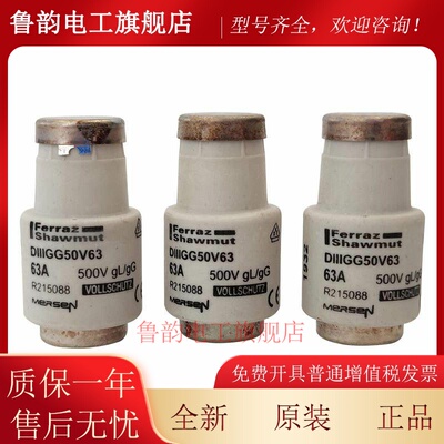 罗兰Ferraz熔断器保险丝Lindner DIIIGG50V35 500V 35A gL/gG E33