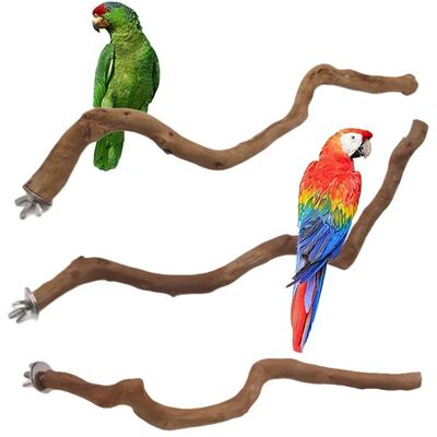 Natural Parrot Perch Bird Stand Tree Stick Paw Grinding Fork