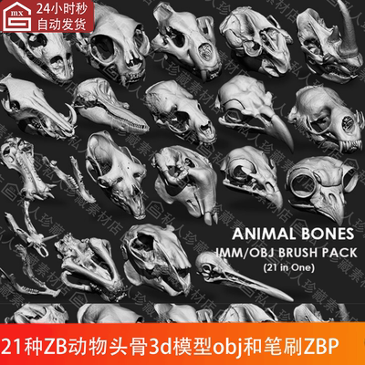 ZBrush动物头部头颅骨骼鸟类犀牛头骨高模3d模型OBJ和IMM笔刷ZBP