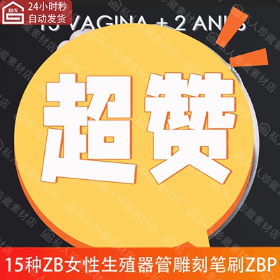zbrush人类女性生殖肛门器官雕刻笔刷ZBP器官结构解剖学ZB笔刷