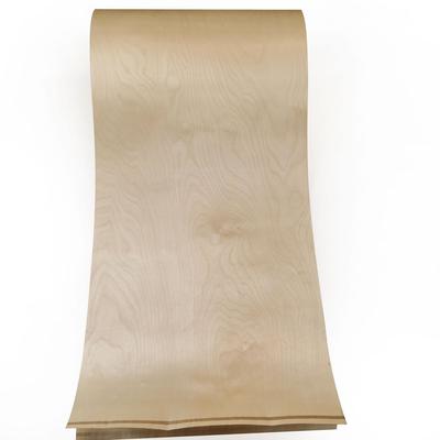 然天旋切桦木木皮4*8尺ZFZ木纹贴贴面翻新柜家具厂板家子直销