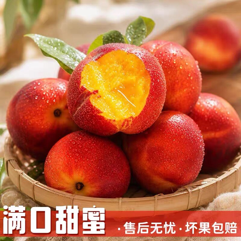 砀山露天黄肉大油桃自然成熟脆甜多汁精品大果整箱包邮