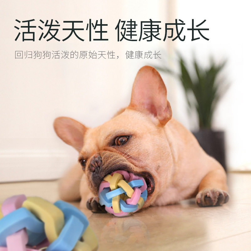 狗狗玩具球形互动玩具彩色橡胶磨牙益智训练用品宠物用品