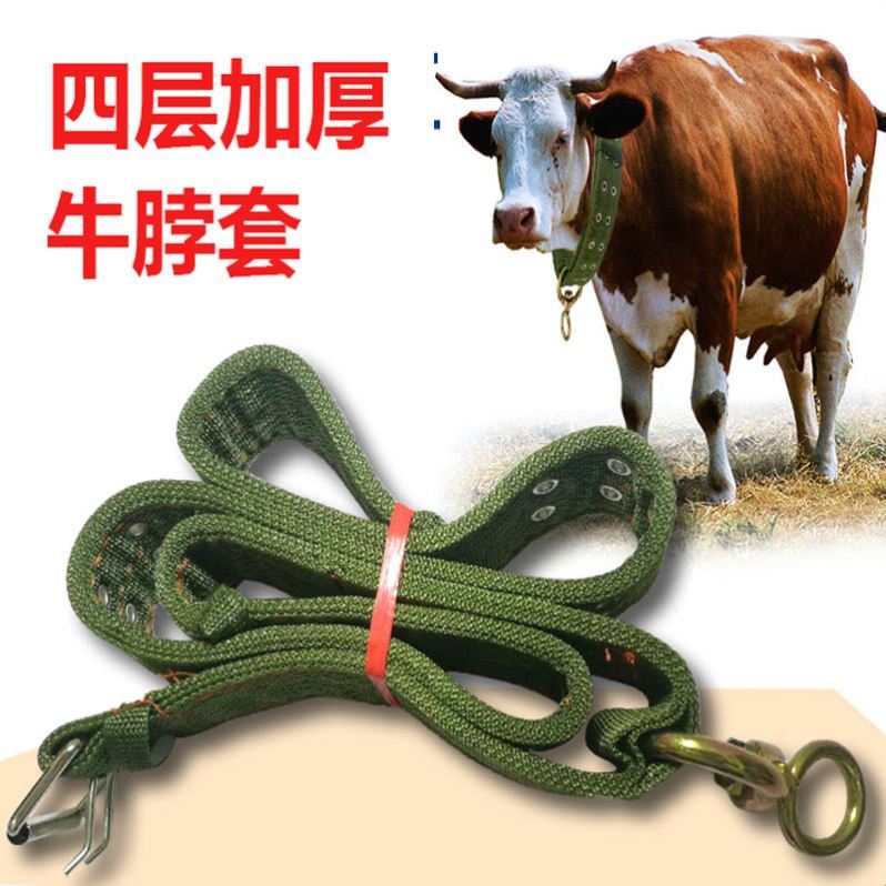 栓牛笼头套扣牛脖套抗拉中型拴牛的小型帆布牛龙头绳绳子牛马缰绳