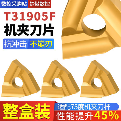 桃形普通机夹车刀头T316