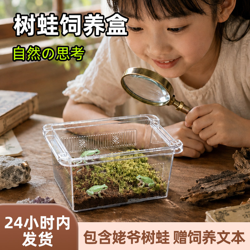 姥爷树蛙活体宠物饲养盒亚克力造景箱子爬宠蛇守宫蜥蜴专用饲养箱