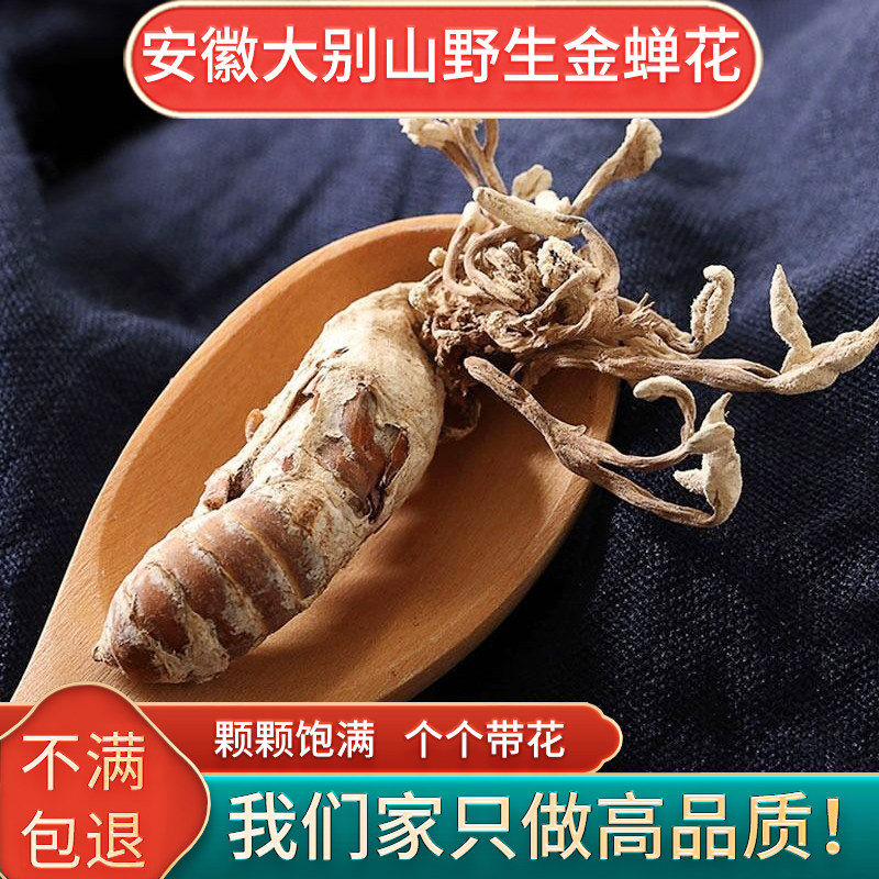 大别山精选新鲜货蝉蜕蝉壳干鱼金蝉花500g金婵蚕中药材虫草知了花