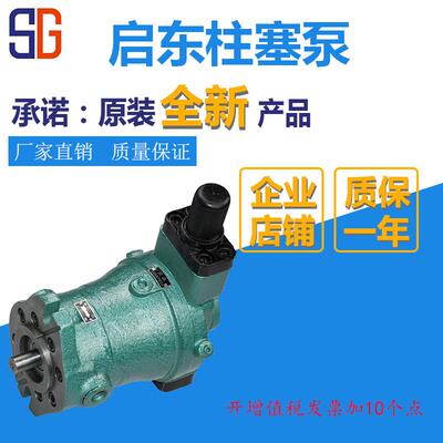 新款16YCY 25YCY 32YCY 63YCY 100YCY 108YCY 250YCY14-1D轴包邮