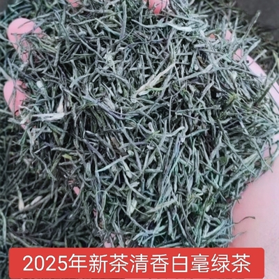 天台高山绿茶日照充足明