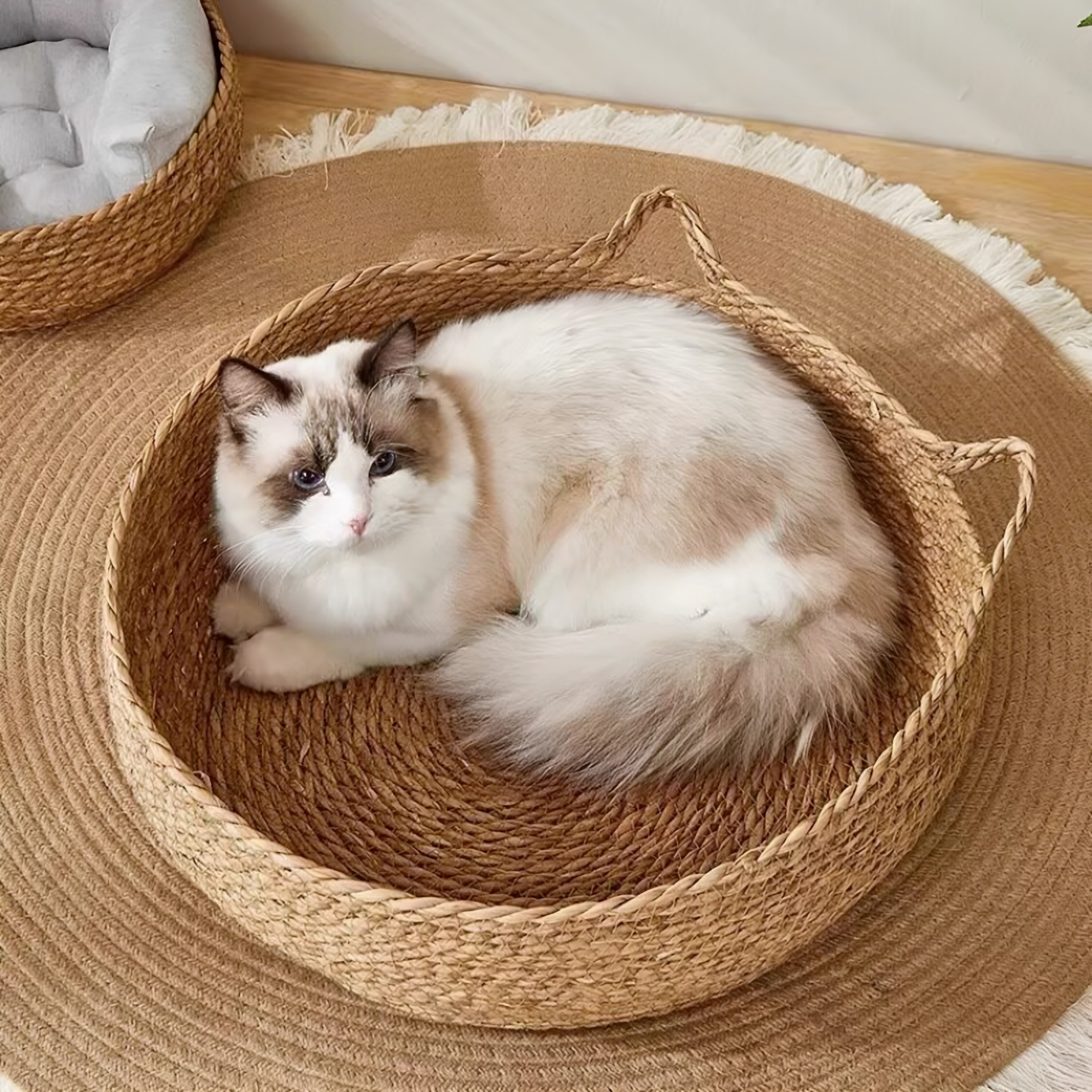 藤编猫窝四季通用猫咪睡觉用垫子夏季猫抓板产夏天凉窝可拆洗草编
