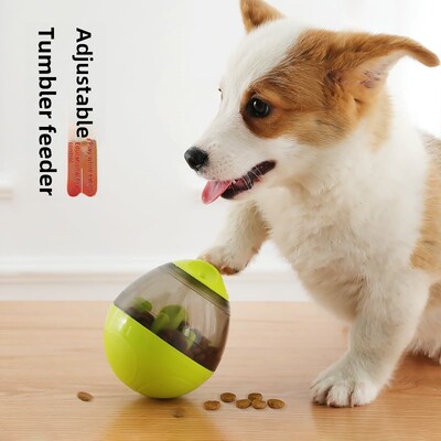 Dogleakybdputmrfince