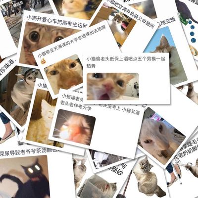 坏猫贴纸猫咪meme表情贴纸