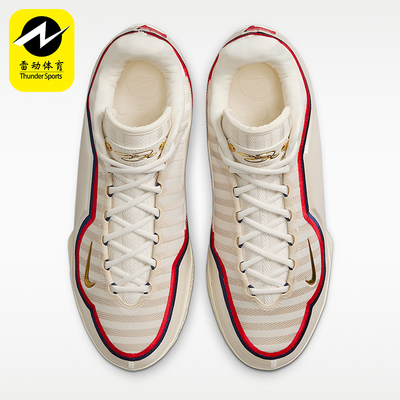 Nike/耐克正品JORDANLeBronXIEP詹姆斯经典男篮球鞋IB9563-103