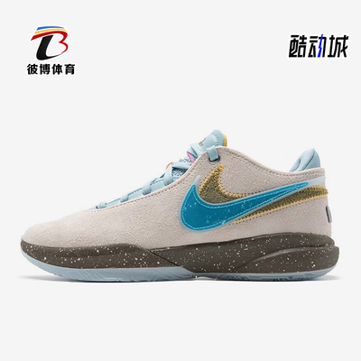Nike/耐克正品LEBRON 20 EP男士经典缓震实战篮球鞋DV9089-801