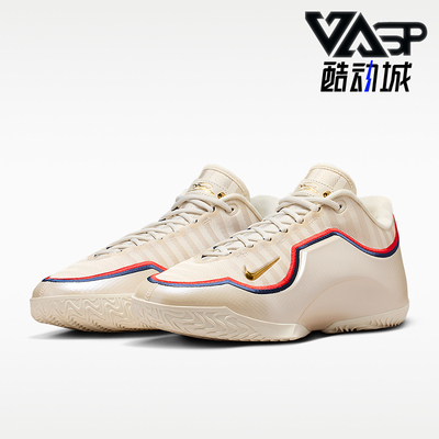 Nike/耐克正品JORDANLeBronXIEP詹姆斯经典男篮球鞋IB9563-103