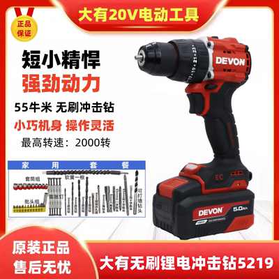大有5219无刷锂电冲击钻