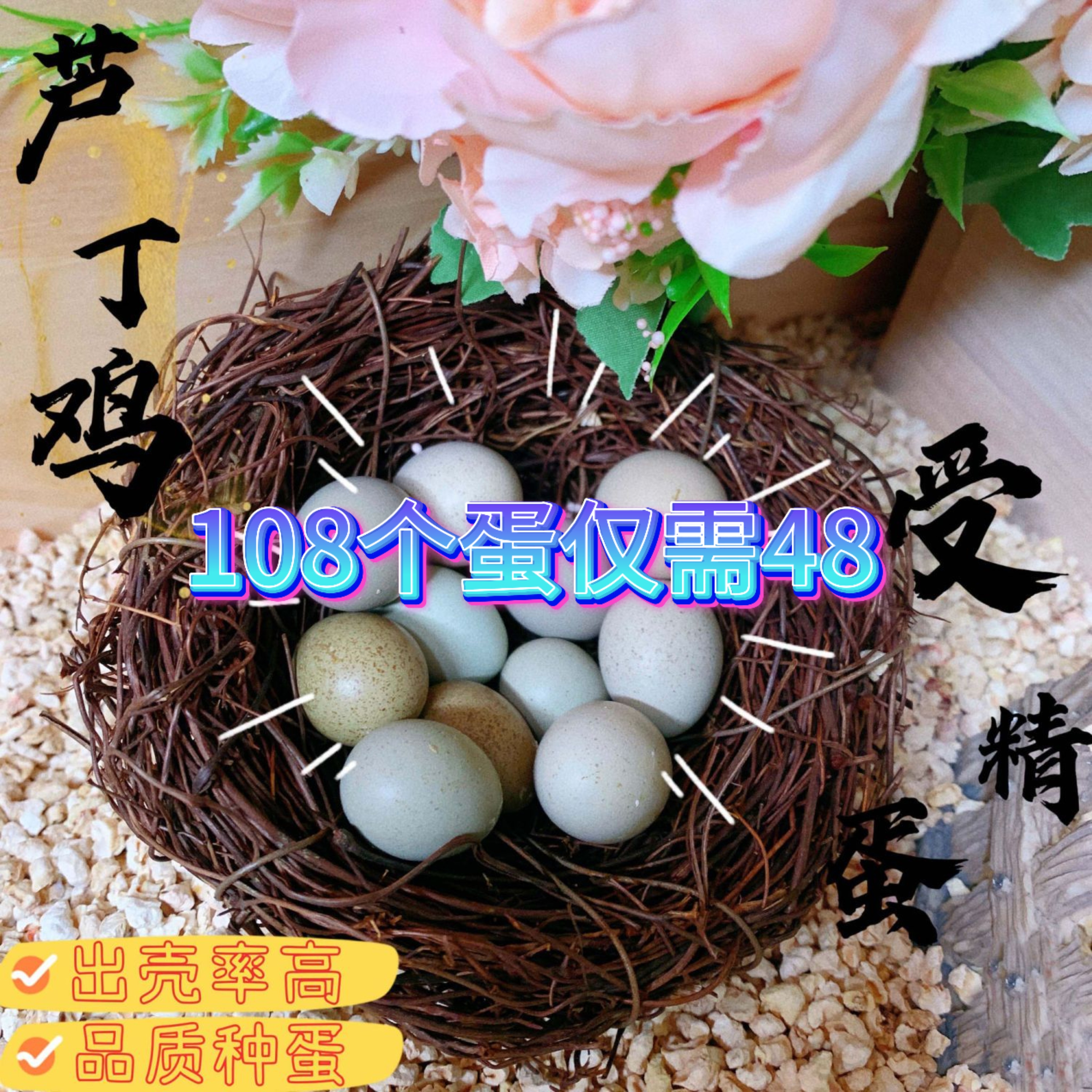 芦丁鸡蛋德系礼服瓦灰纯白色宠物迷你小鸡蛋网红卢丁小鸡黑白包邮