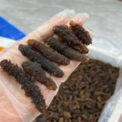 150头印尼淡干小黑刺参干货正品黄玉刺王海参酒店滋补非辽参250克