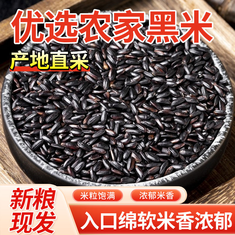 新货正宗黑米东北农家米无染色长粒香米甜品美味五谷杂粮粥
