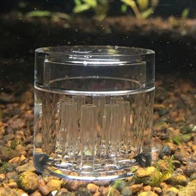 Acrylic Planaria Trap Box Leeches Catcher 8 Holes Aquatic