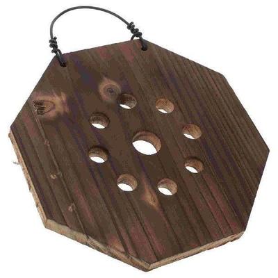 Staghorn Fern Mounting Plate Kit Hanging Planters Square