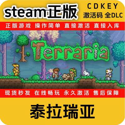 泰拉瑞亚Terraria正版steamcdkey入库国区全DLC激活码全球区游戏