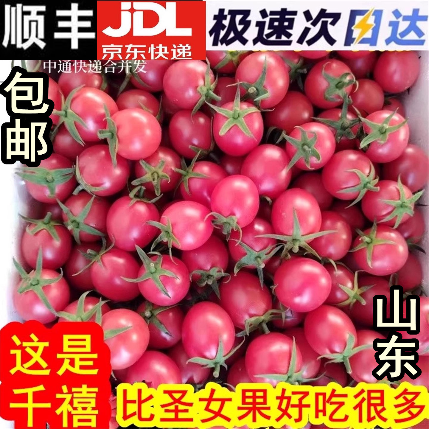 山东千禧果小番茄新鲜水果好吃樱桃千玺圣女果小西红柿蔬菜包邮