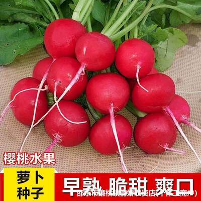 Cherry, radish seeds, fruit, radish seeds, vegetable seeds,