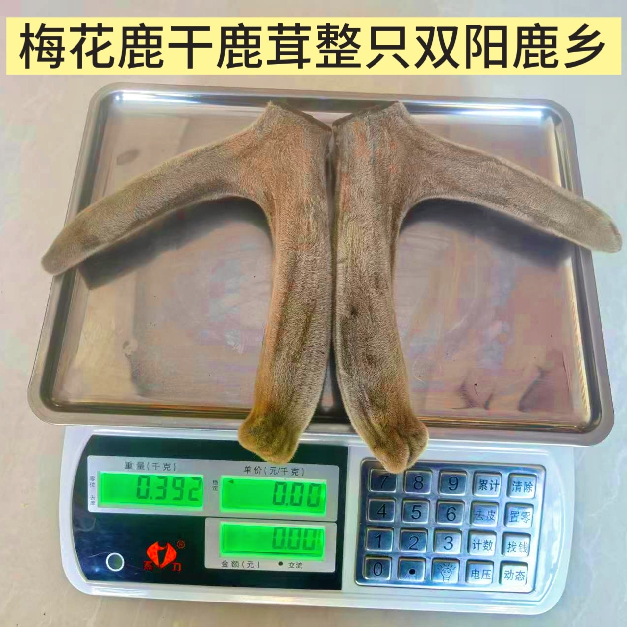梅花鹿整枝干鹿茸整只泡酒二杠可切片可连刀切新鲜鹿茸吉林双阳