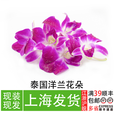洋兰花朵火锅日料配菜摆盘装饰