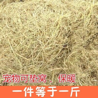 稻草干草垫料兔子过冬草