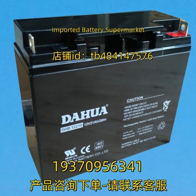 DAHUA蓄电池 DAHUA BATTERY DHB12210 12V21AH/20HR 电池
