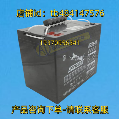 FULLRIVER 蓄电池 HGL75-12 12VOLT 75AH 450CCA 12V75AH电池
