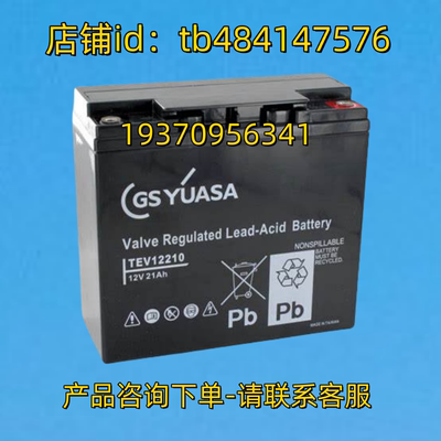 GSYUASA蓄电池 GSYUASA TEV12210 12V21AH 电池