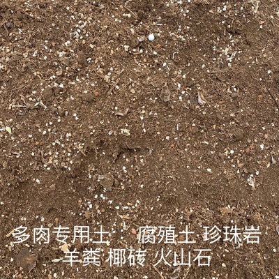云之滇多肉植物营养土腐殖土进口土多肉植物土菜园土