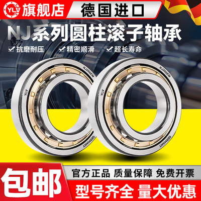 德国进口YLV圆柱滚子轴承NJ304 305 306 307 308 309 310 311EM