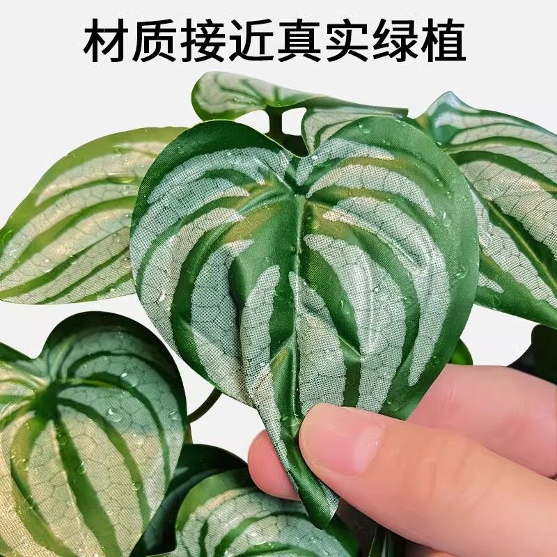爬虫饲养箱陆龟蜥蜴热带雨林仿真植物生态缸沙漠造景装饰爬宠守宫