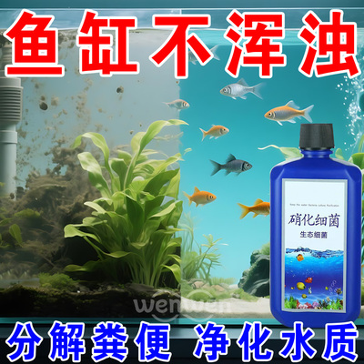 硝化细菌浓缩款鱼缸净水立见效