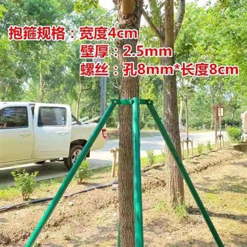 新品树木支撑架大h树固定器铁抱箍绿化行道树苗木支撑Y杆热镀锌烤