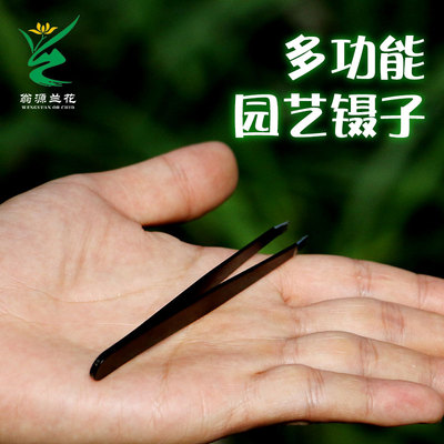 便捷多功能不锈钢园艺镊子超好用
