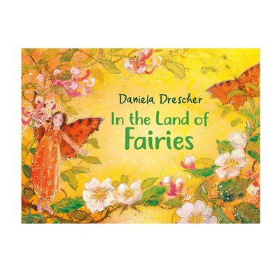 预售 在仙女之地 In the Land of Fairies 精装 爱尔兰风格绘本 Daniela Drescher 英文原版 欧洲精灵传奇