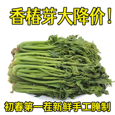 香椿芽咸菜山东特产露天头茬新鲜香春芽腌制下饭菜拌面即食速食菜